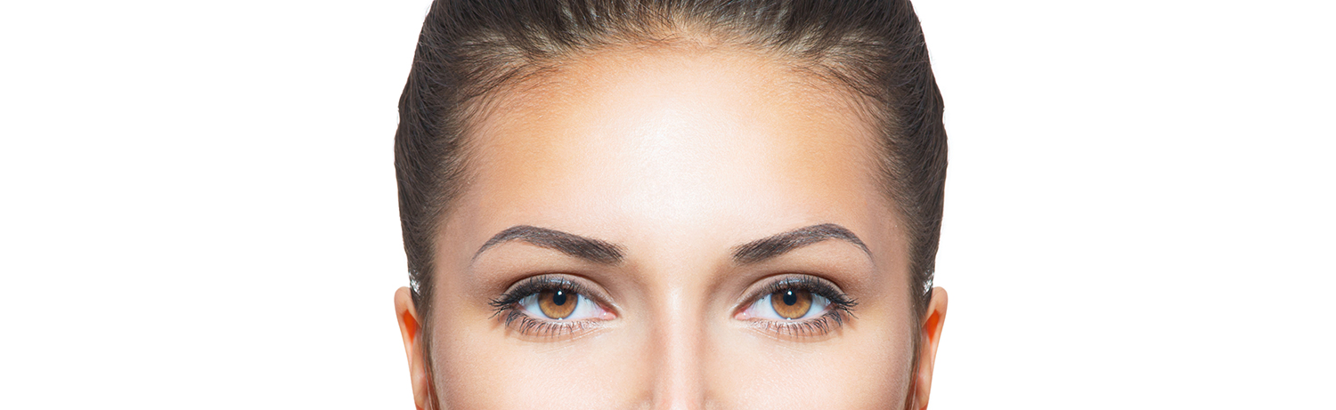 Haut du visage - Le Louarn